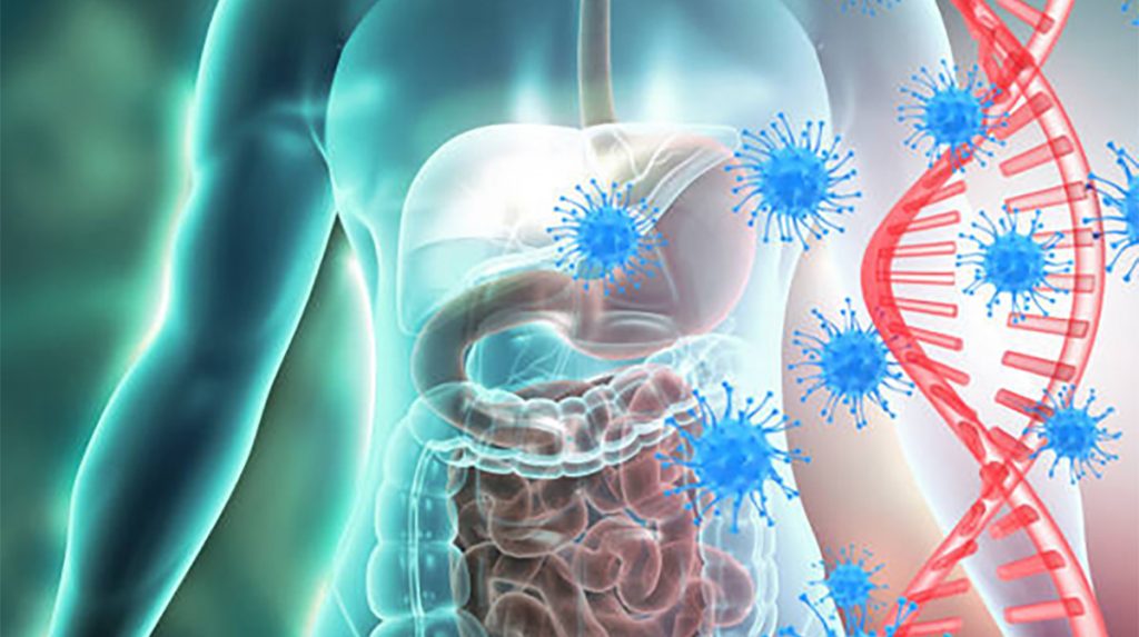 Is Type 2 Diabetes An Autoimmune Disease?